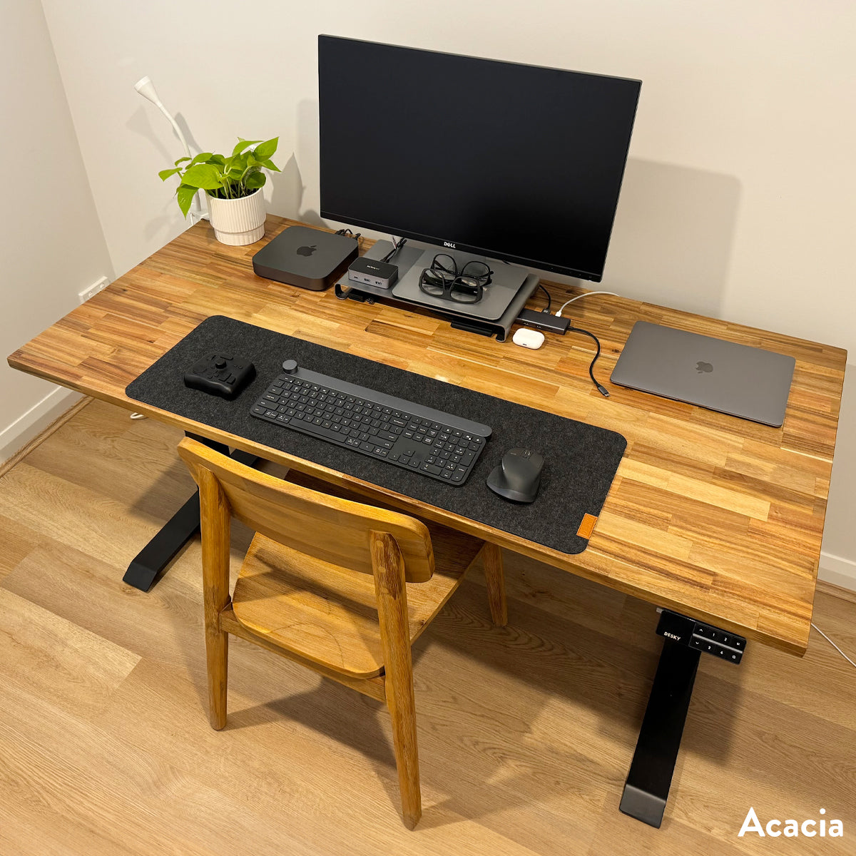Desky Dual Softwood Sit Stand Desk - Desky® Canada