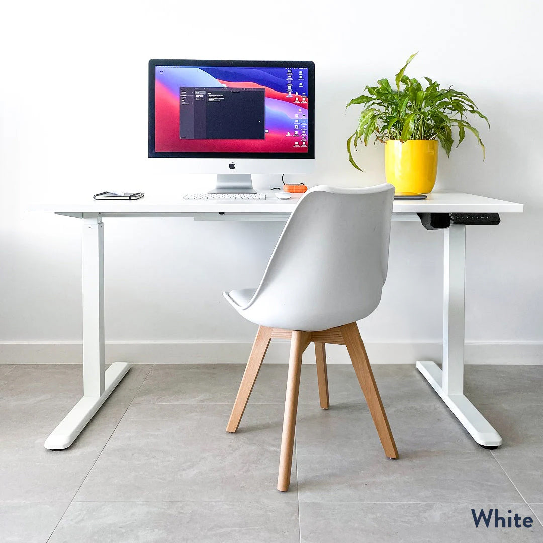 Desky Single Sit Stand Desk | Desky Canada
